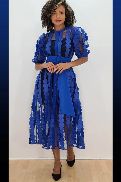 Sheer Overlay Maxi Dress – Diva's Den Fashion, LLC