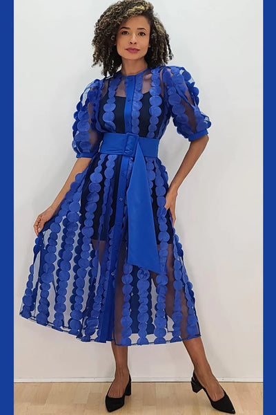 Sheer Overlay Maxi Dress – Diva's Den Fashion, LLC