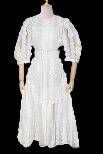 Sheer Overlay Maxi Dress – Diva's Den Fashion, LLC